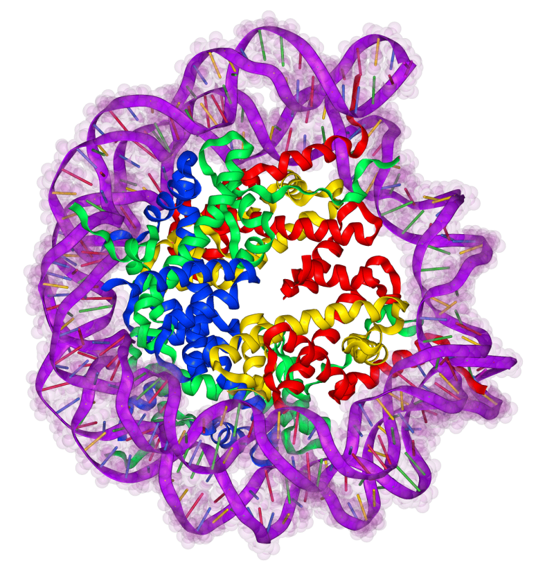 MDDB – Molecular Dynamics Data Bank