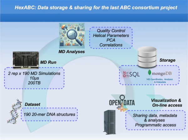 MDDB – Molecular Dynamics Data Bank